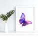 Clipart Purple Butterflies | Magic Butterflies PNG | Digital Print ...