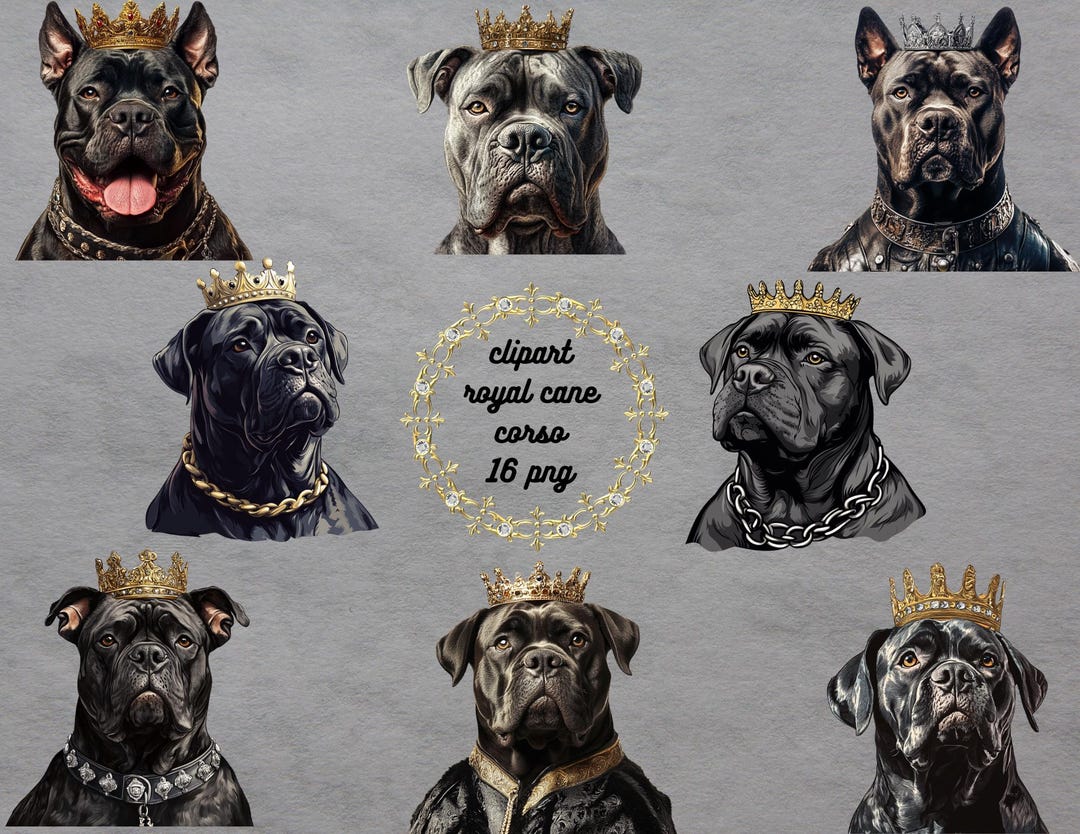 Royal Cane Corso, King Dog PNG, Powerful Dog Clip Art, Digital King ...