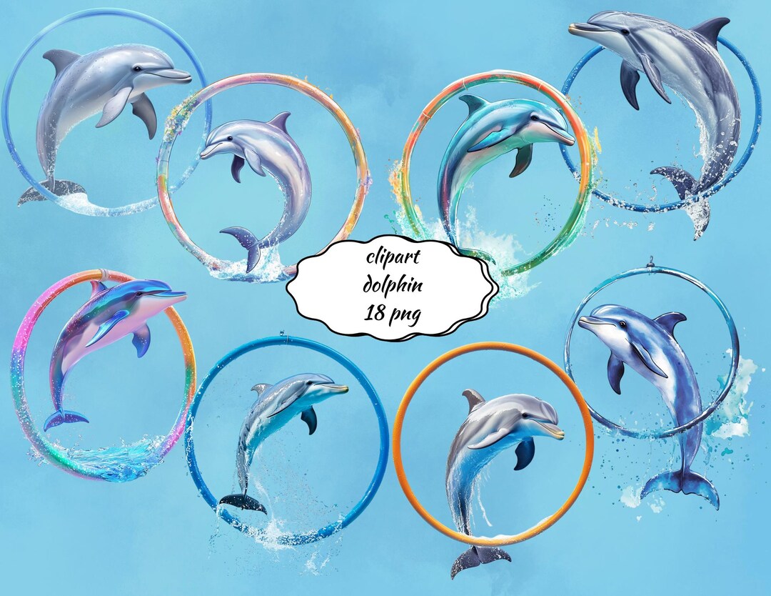 Playful Dolphin Clipart Bundle: Summer Party Pngs (digital Download) - Etsy