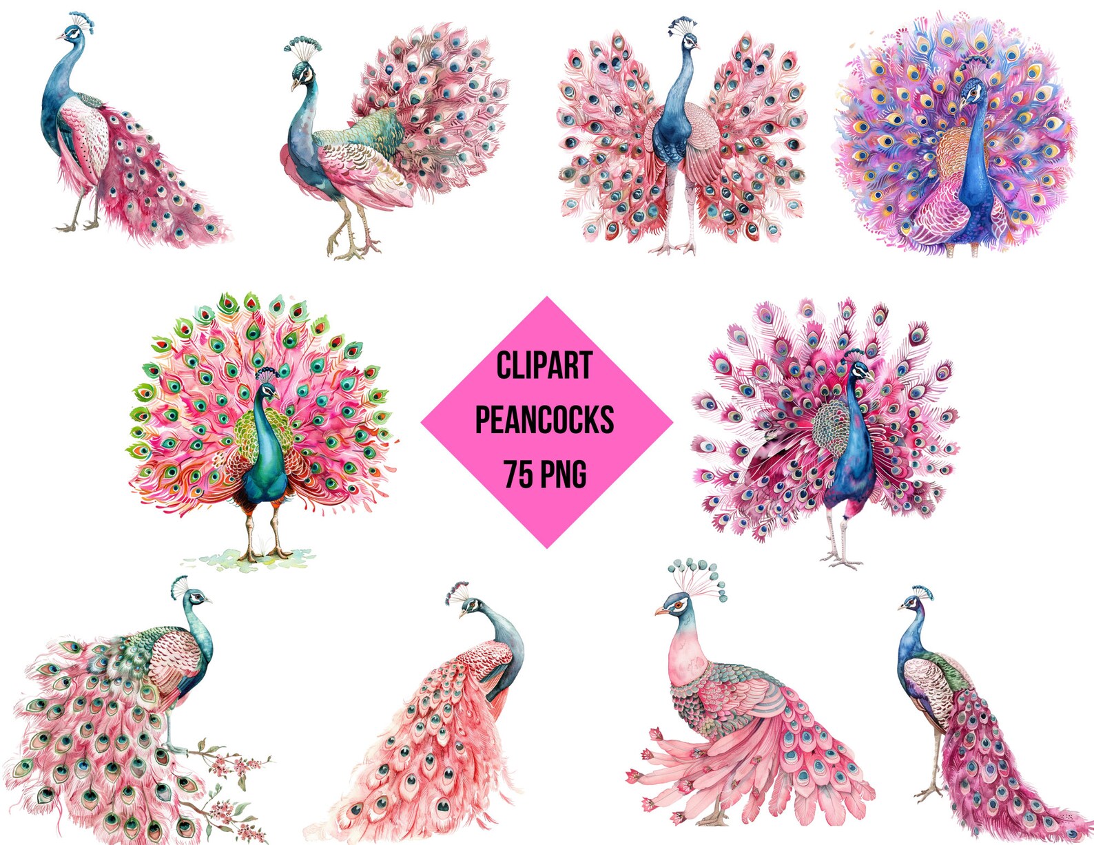 Clipart Beautiful Peacocks | Pretty Peacocks PNG | Digital Print Unique ...