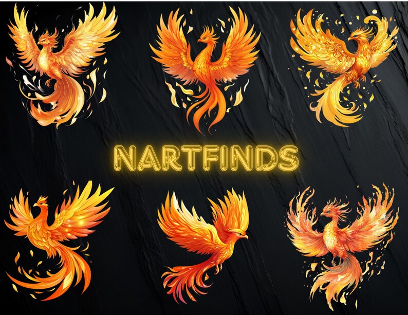 Phoneix Birds Set Clipart Phoneix Designs 24 PNG Digital Print Magical ...