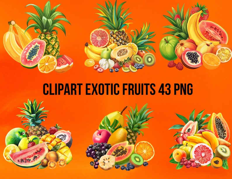 Clipart Exotic Fruits | Tropical and Exotic Fruits PNG Bundle ...