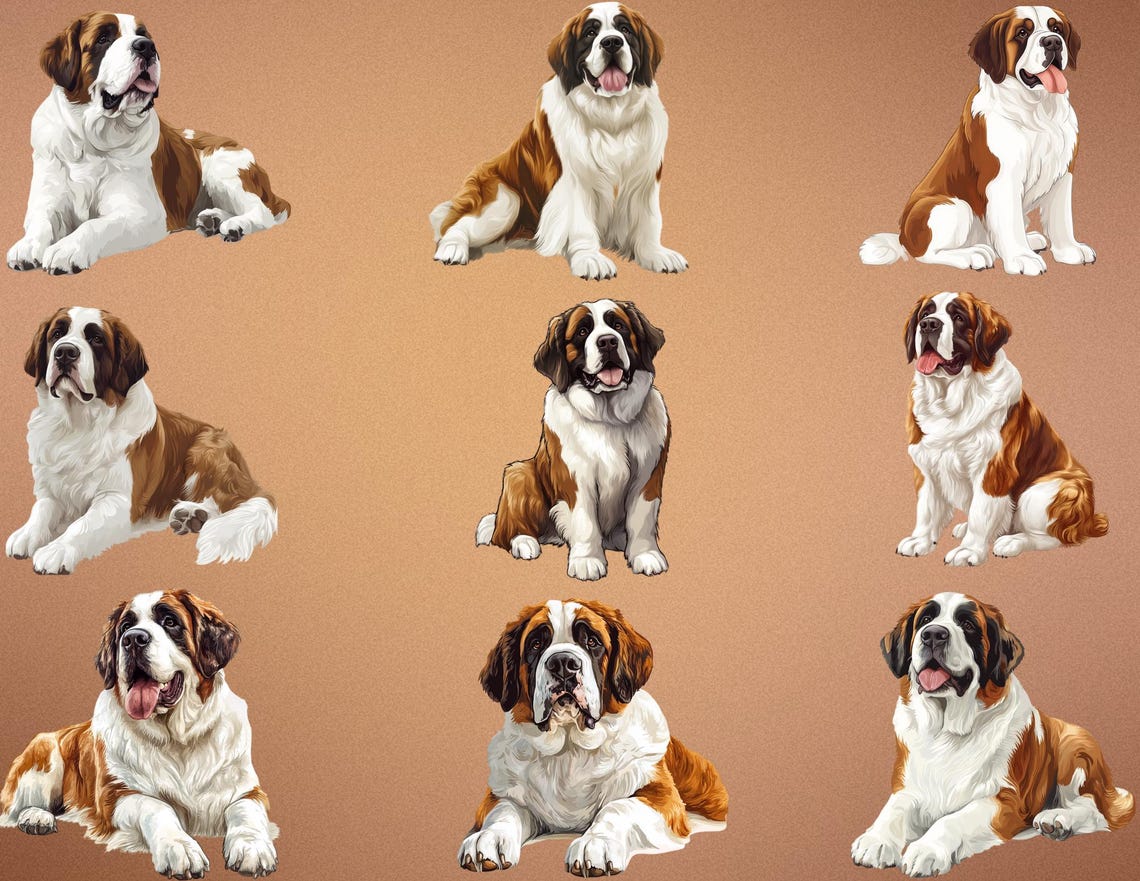 Saint Bernard Dog Clipart, Realistic Saint Bernard PNG, Big Dog Breed ...