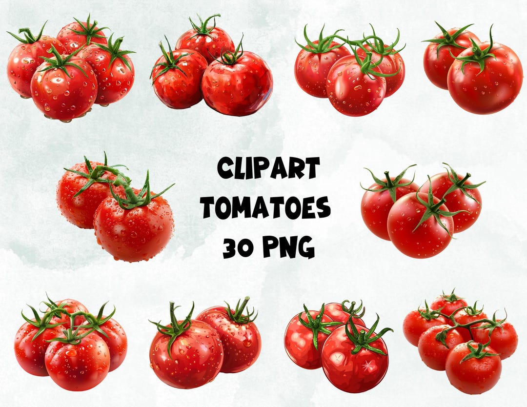 Clipart Tomatoes | Fresh Tomato Graphics Bundle | Vegetables Art ...