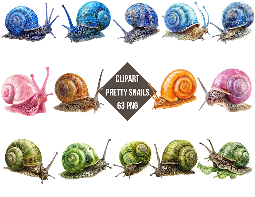 Adorable Snail Clipart Bundle | Cute Snails Graphics | Colorful Snails ...