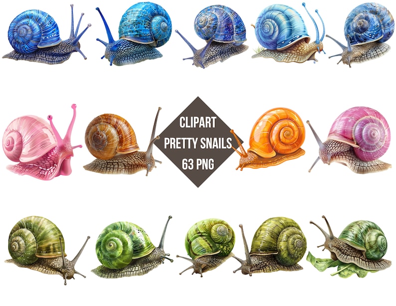 Adorable Snail Clipart Bundle | Cute Snails Graphics | Colorful Snails ...