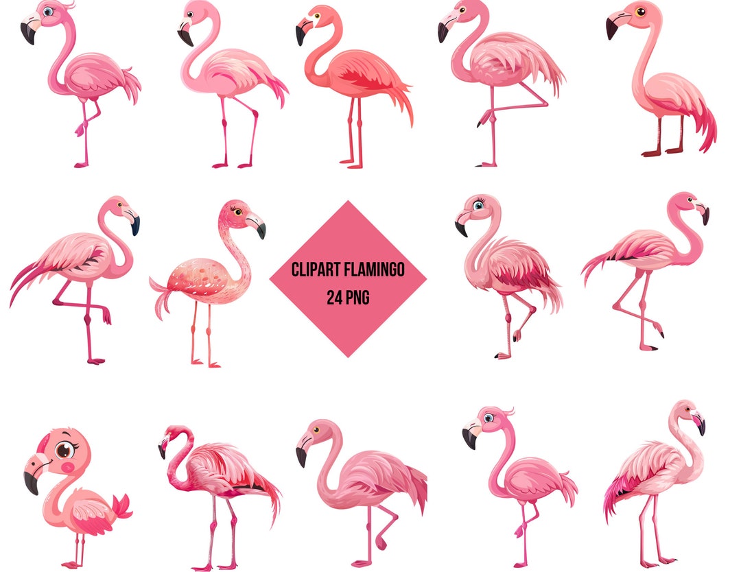 Flamingo Clipart Bundle, Digital Tropical Bird, Pink Bird Clipart Set ...