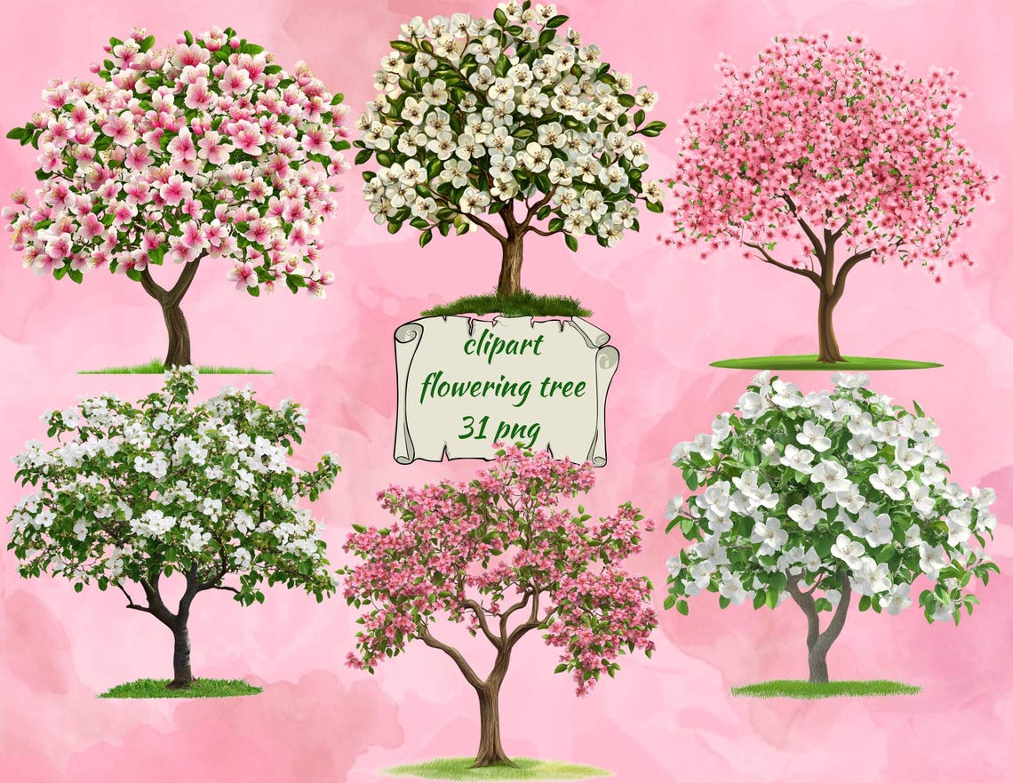 Flowering Tree Clipart, Spring Tree PNG, Spring Blooming Tree Clipart ...