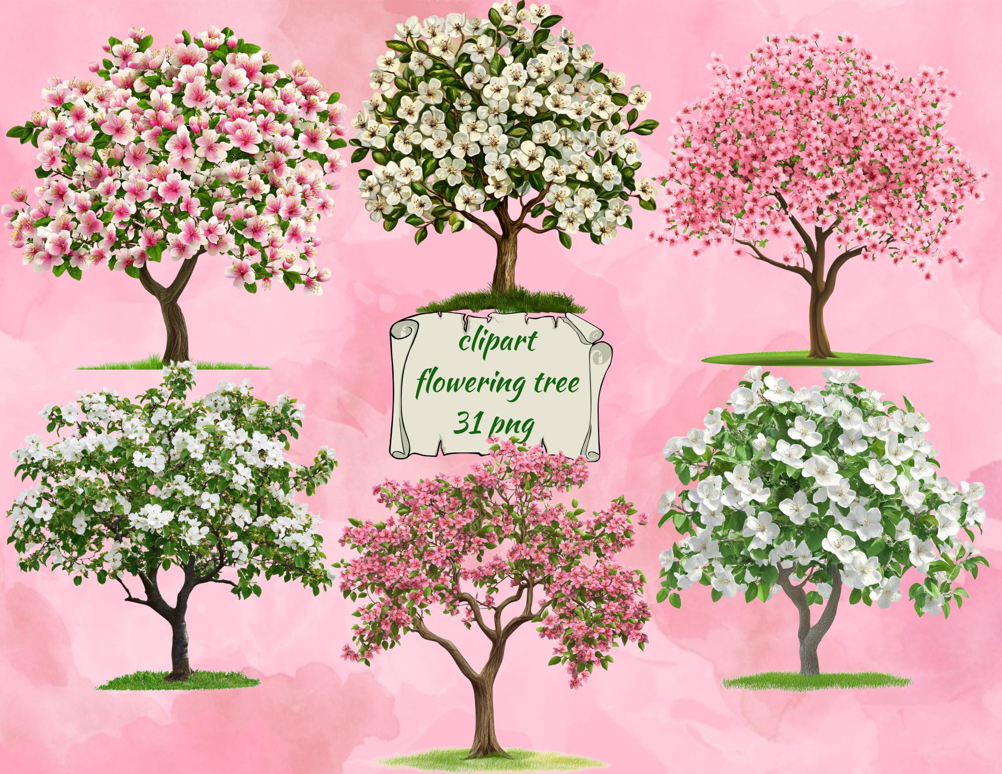 Flowering Tree Clipart, Spring Tree PNG, Spring Blooming Tree Clipart ...