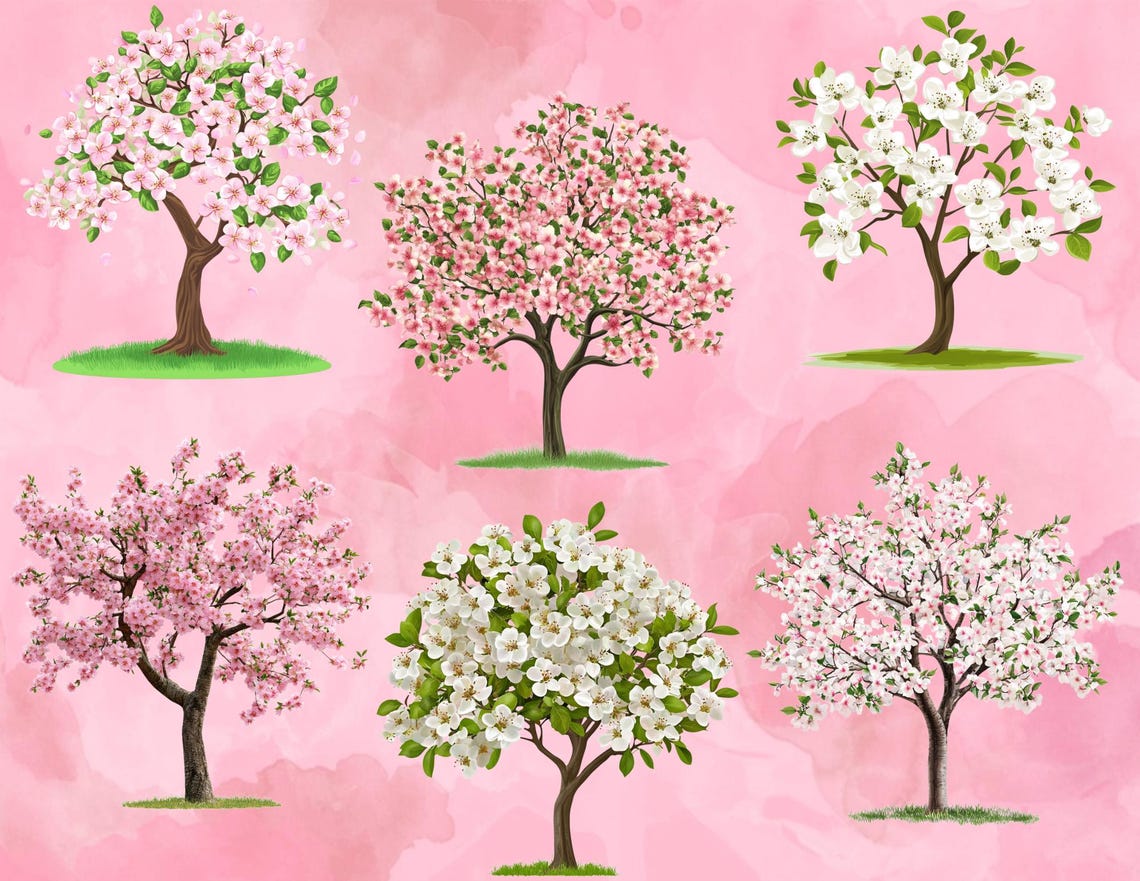 Flowering Tree Clipart, Spring Tree PNG, Spring Blooming Tree Clipart ...