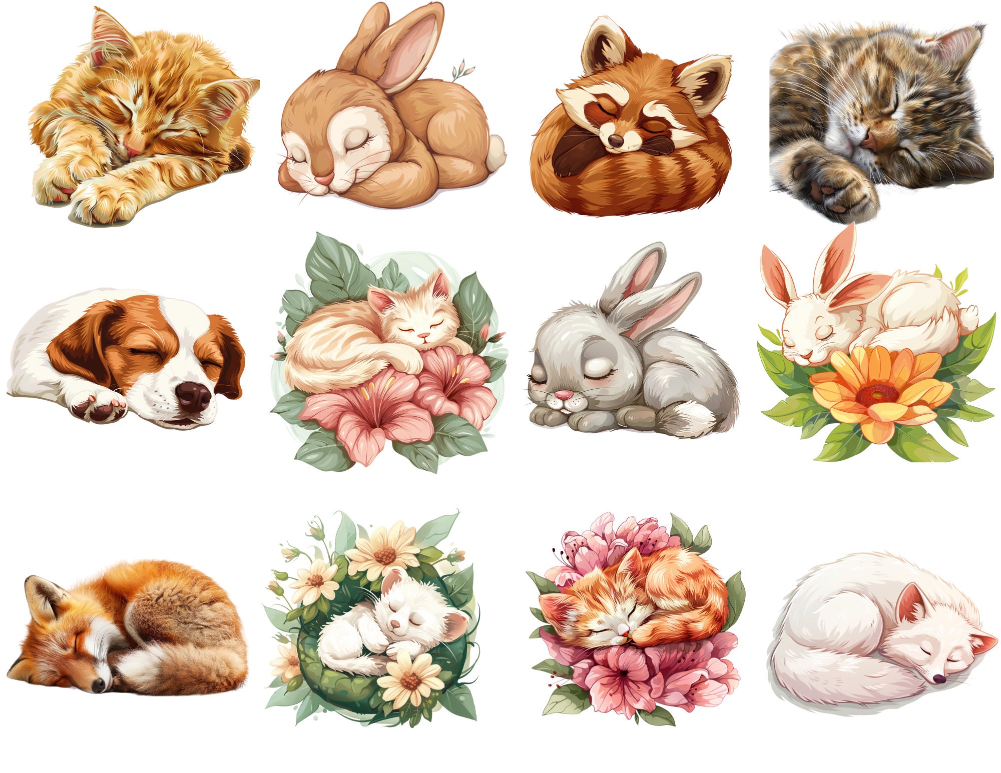 Clipart Sleeping Animals | Cute Sleeping Animals PNG | Digital Print ...
