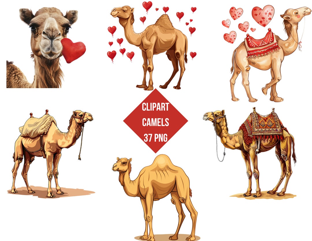 Clipart Pretty Camels | Camels With Love PNG | Digital Print Camels ...