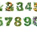 Clipart Safari Numbers | Safari Numbers PNG | Digital Print Safari ...