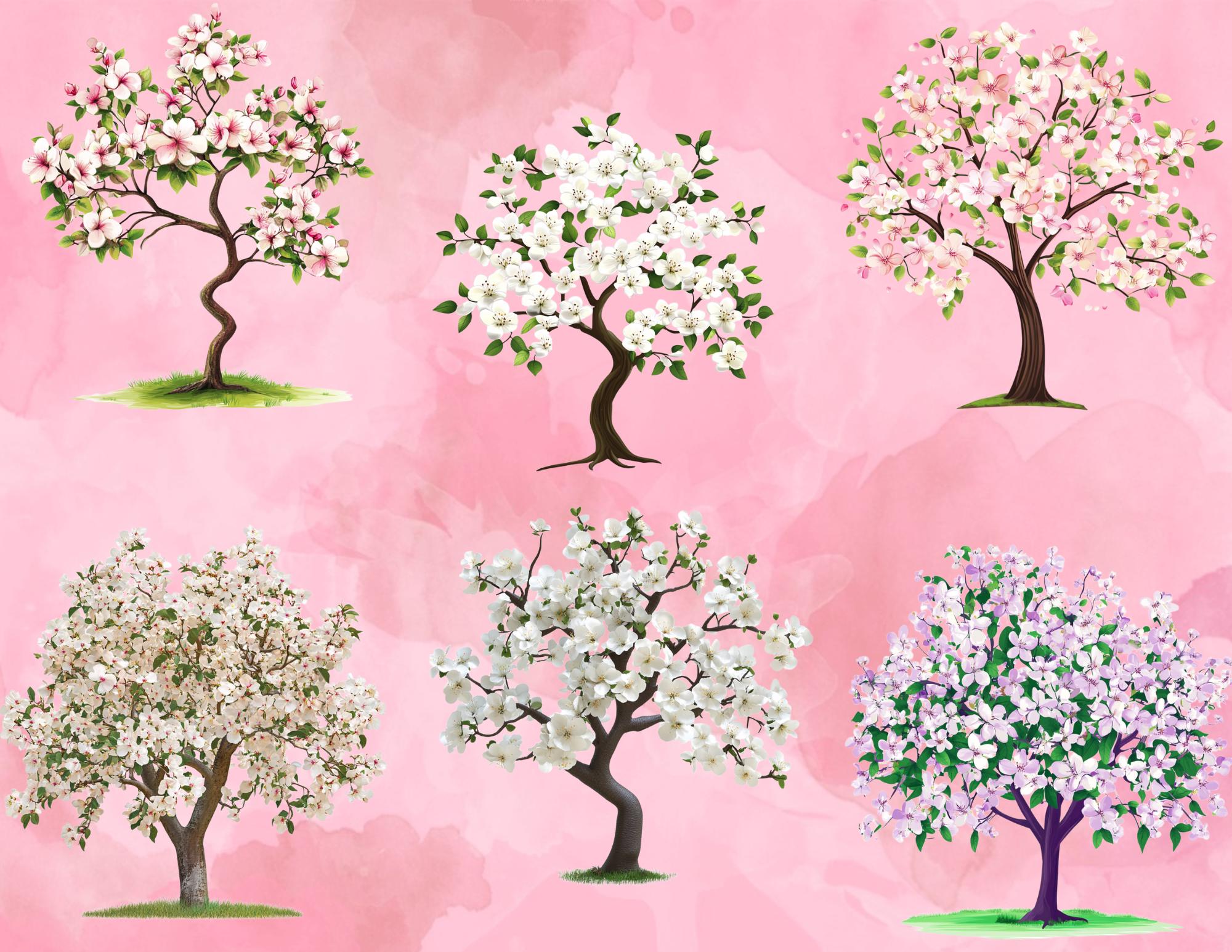 Flowering Tree Clipart, Spring Tree PNG, Spring Blooming Tree Clipart ...