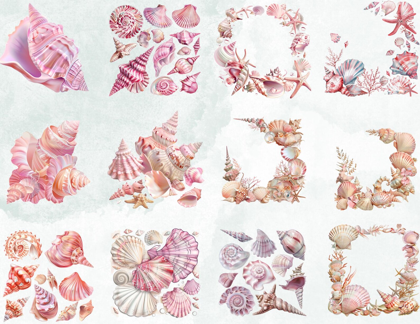 Pink Shells Clipart, Seashell Frames PNG, Digital Print Ocean-themed ...