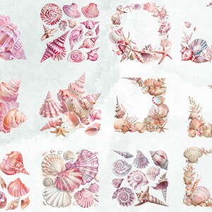 Pink Shells Clipart, Seashell Frames PNG, Digital Print Ocean-themed ...