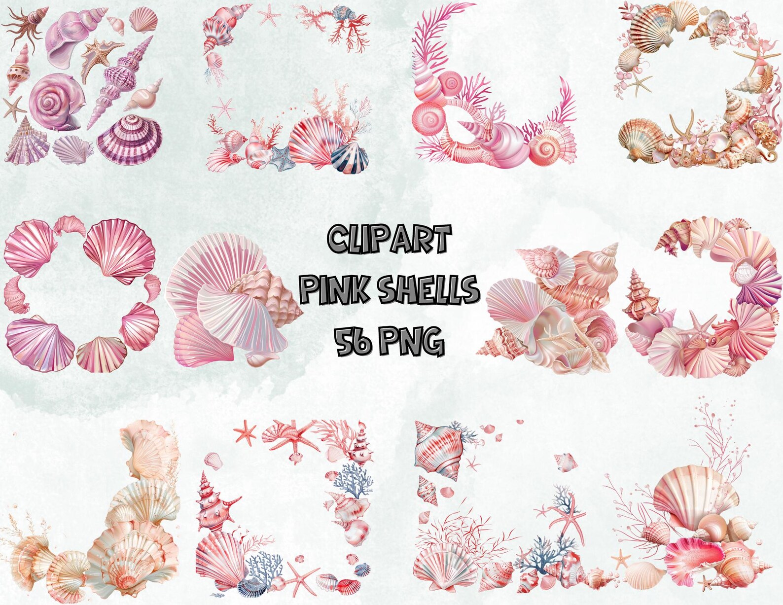 Pink Shells Clipart, Seashell Frames PNG, Digital Print Ocean-themed ...