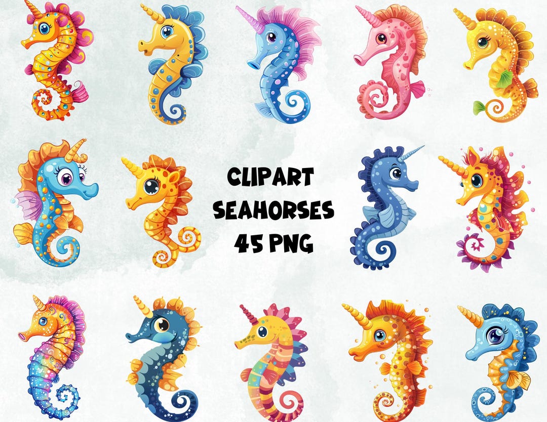 Seahorse Clipart Bundle | Cute Sea Horses PNG | Ocean Animals Digital ...