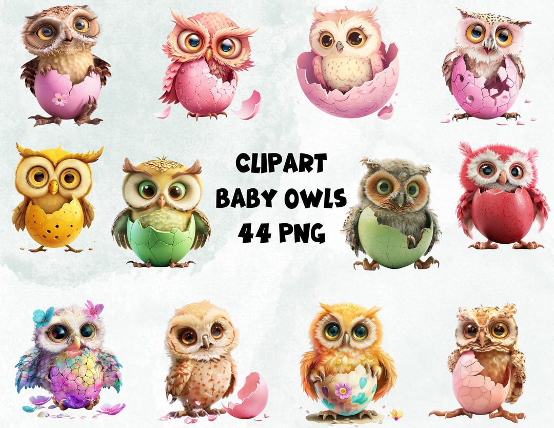 Clipart Baby Owls Owlls Egg PNG Sweet Baby Owl Adorable Hatching Owls ...