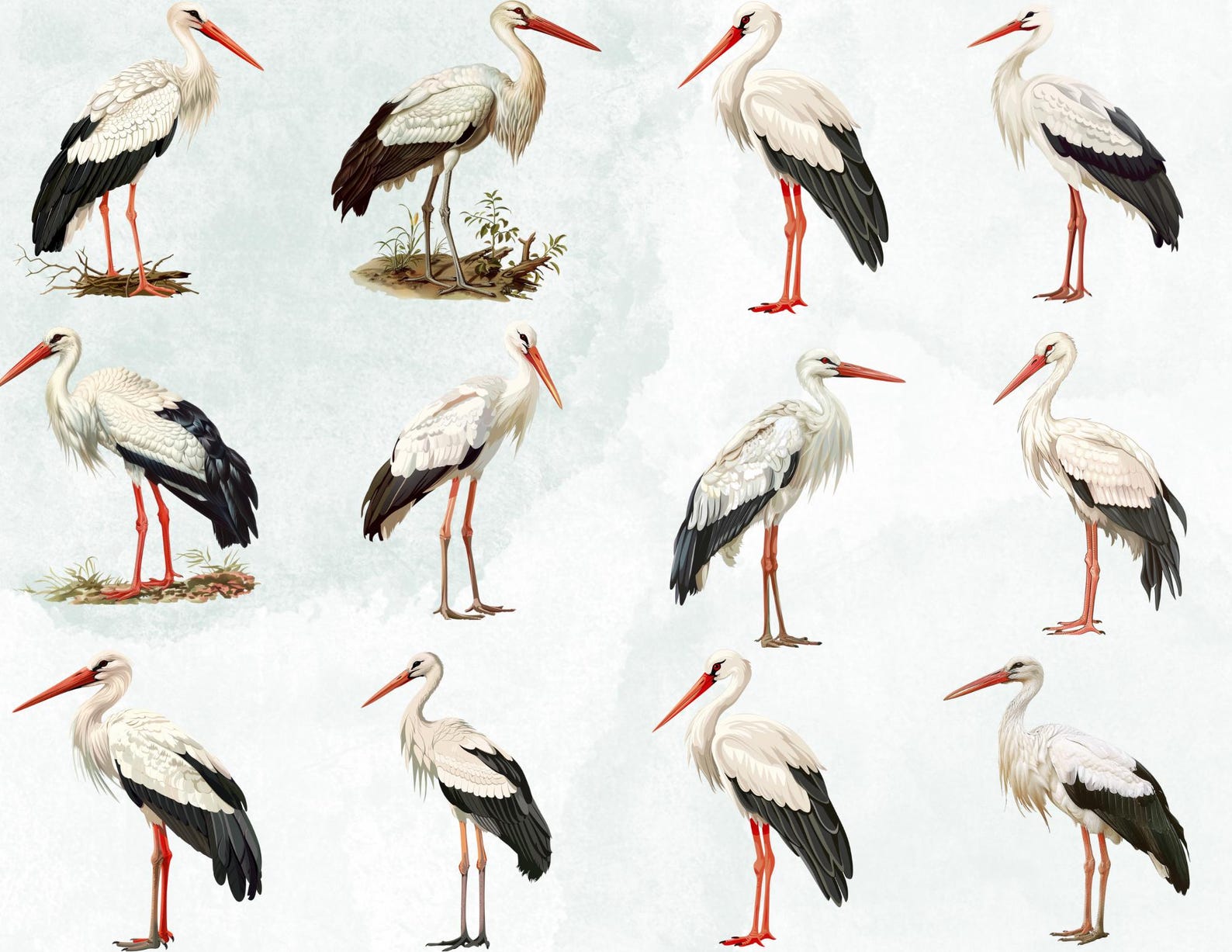 Clipart Pretty Storks | Set of 41 PNG Images | Storks Illustrations ...