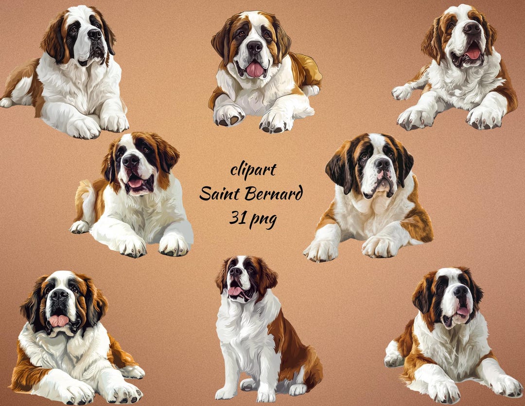 Saint Bernard Dog Clipart, Realistic Saint Bernard PNG, Big Dog Breed ...