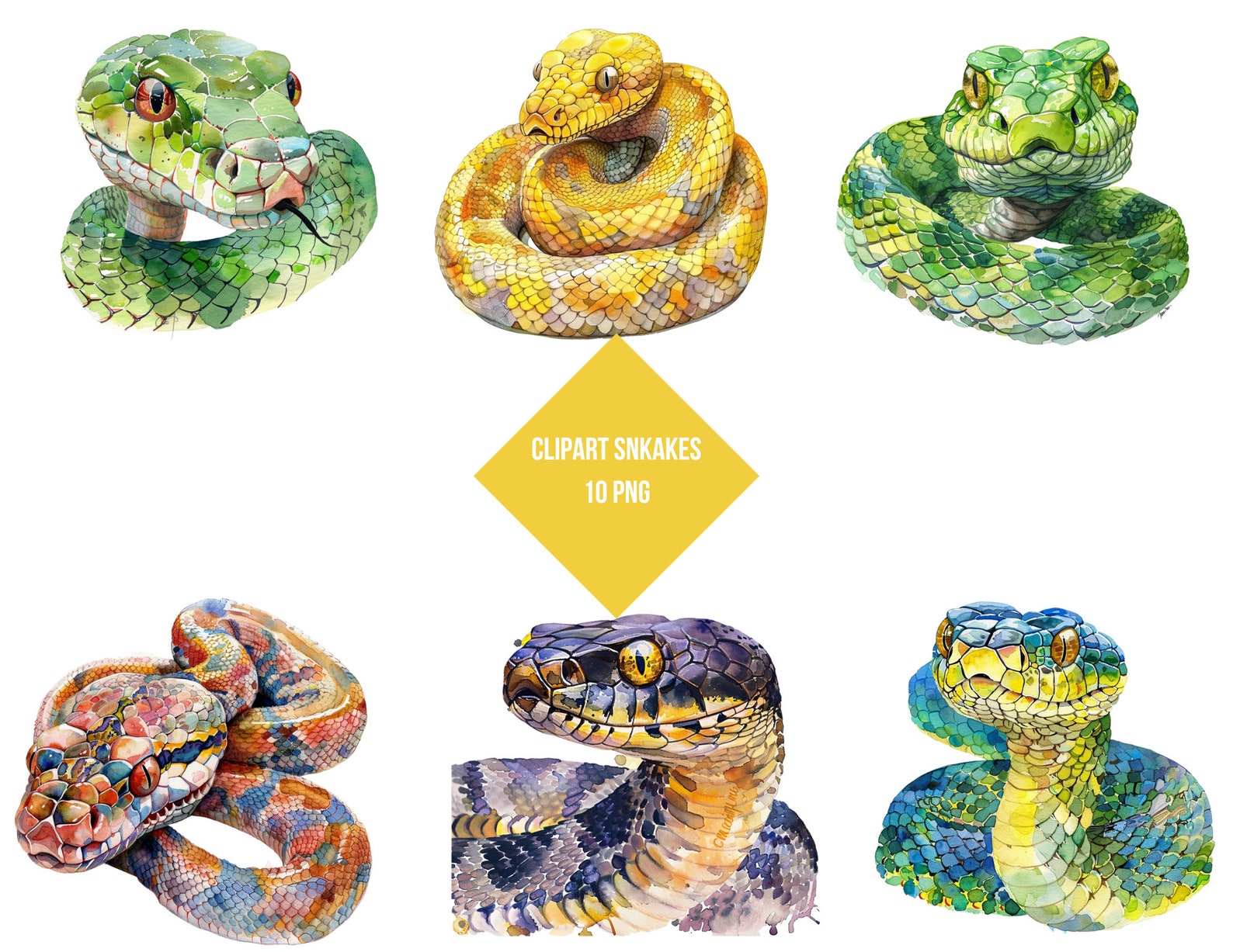 Snakes Clipart Realistic Snake Illustrations PNG Digital Print Decor ...