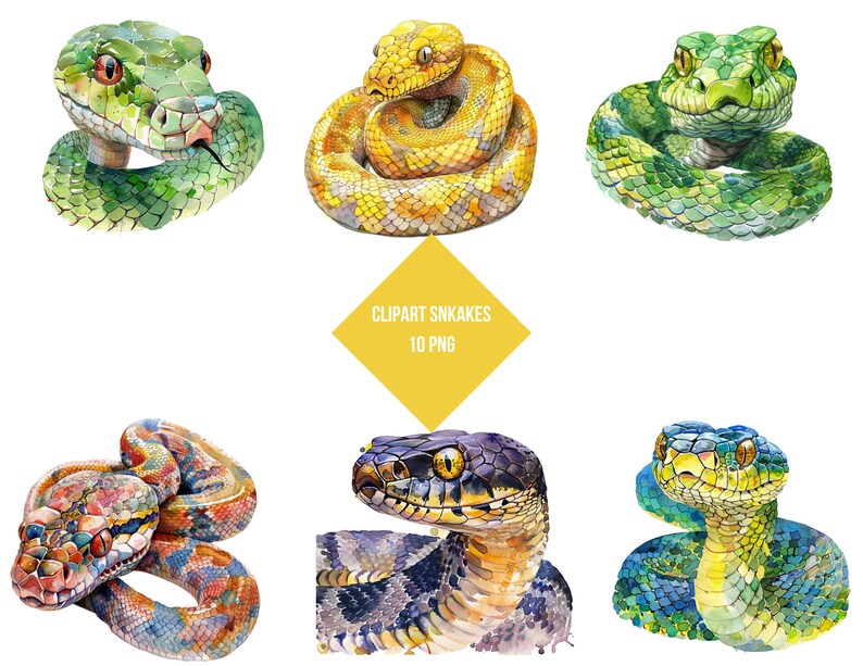 Snakes Clipart | Realistic Snake Illustrations PNG | Digital Print ...