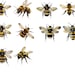 Clipart Bees | Buzzworthy Bee Printables | Sweet Honeybee Clip Art Pack ...