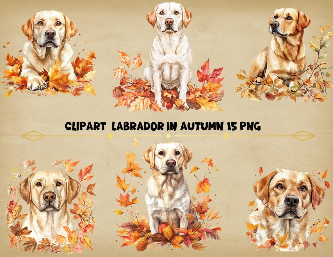 Autumn Labrador Clipart Bundle: Fall Dog PNG Illustrations (instant ...