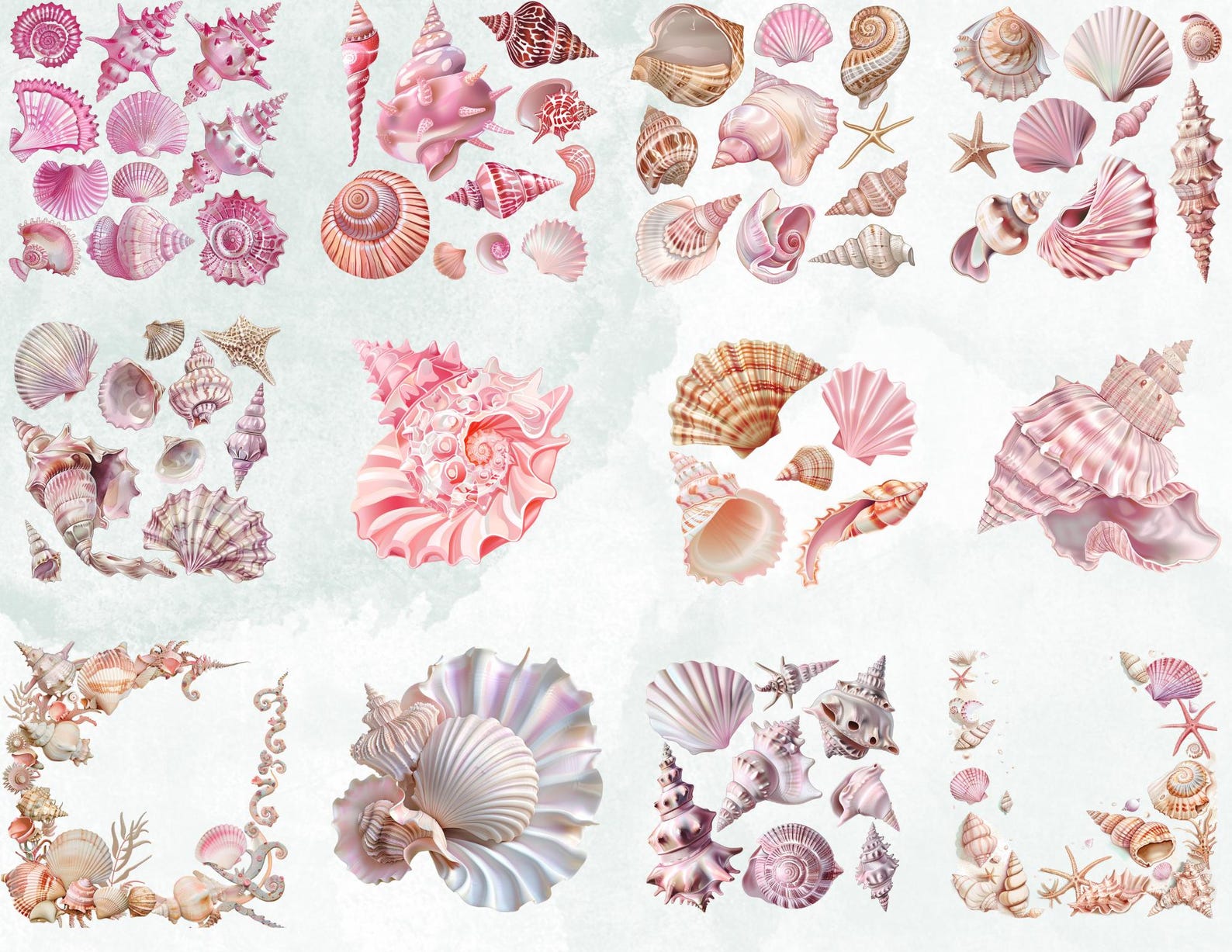 Pink Shells Clipart, Seashell Frames PNG, Digital Print Ocean-themed ...
