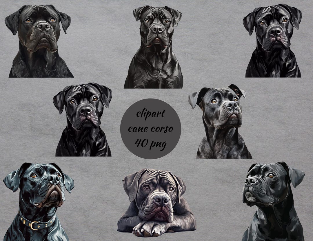 Cane Corso Clipart Bundle, Cane Corso Digital Print, Guard Dog Clipart ...
