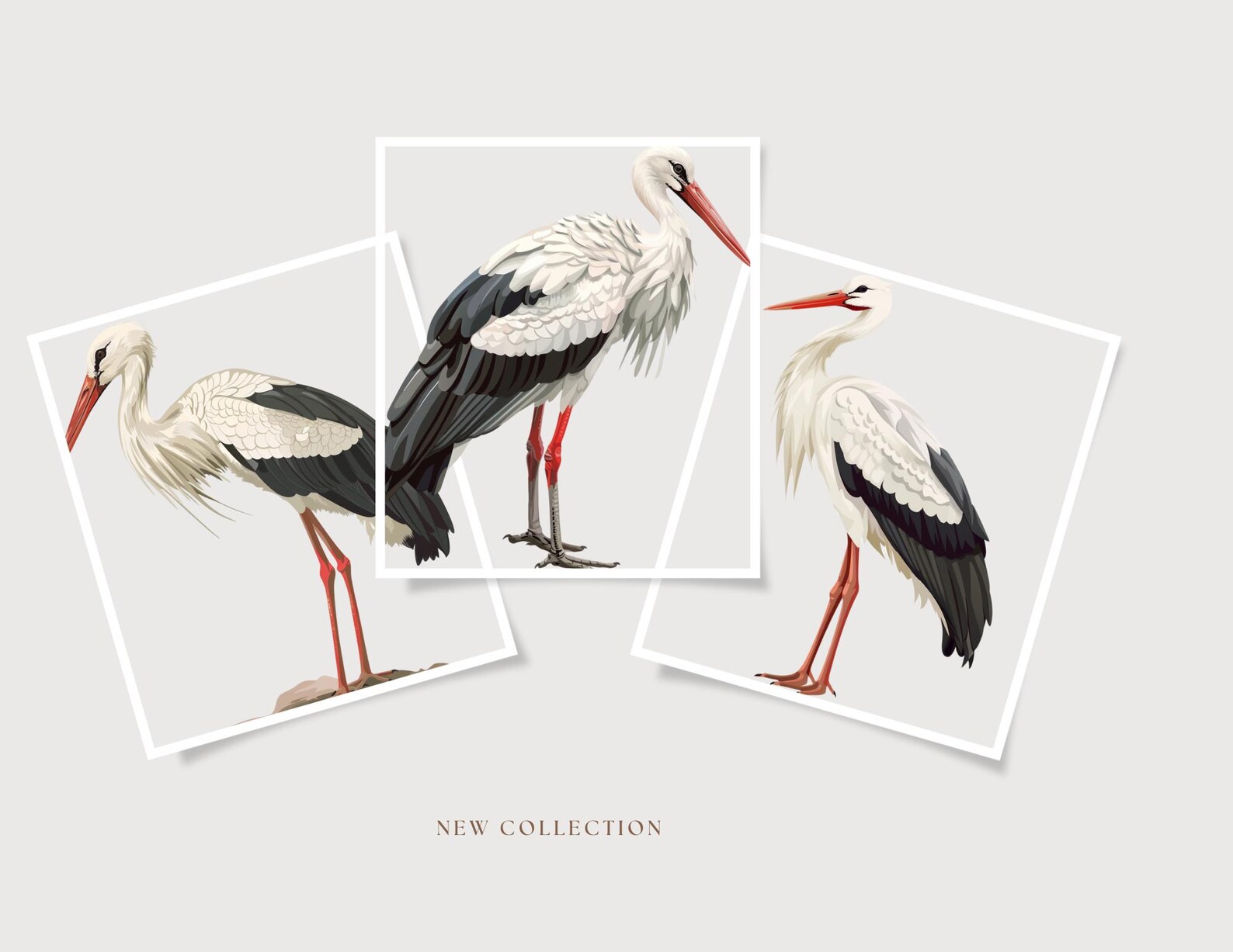 Clipart Pretty Storks | Set of 41 PNG Images | Storks Illustrations ...