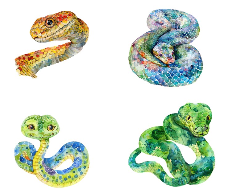 Snakes Clipart | Realistic Snake Illustrations PNG | Digital Print ...