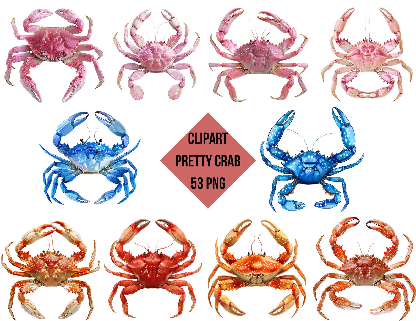 Clipart Pretty Crab Set | Colorful Crab PNG | Digital Print Pretty Crab ...