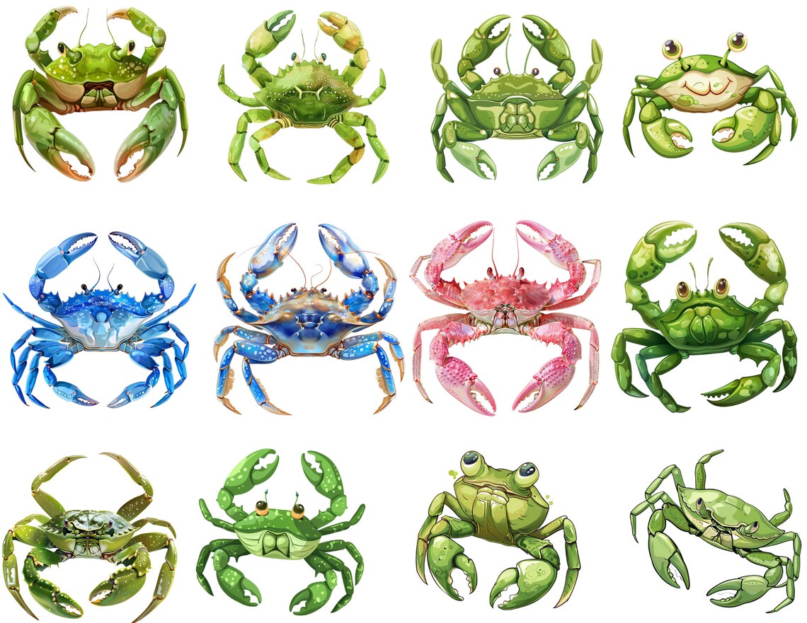 Clipart Pretty Crab Set | Colorful Crab PNG | Digital Print Pretty Crab ...