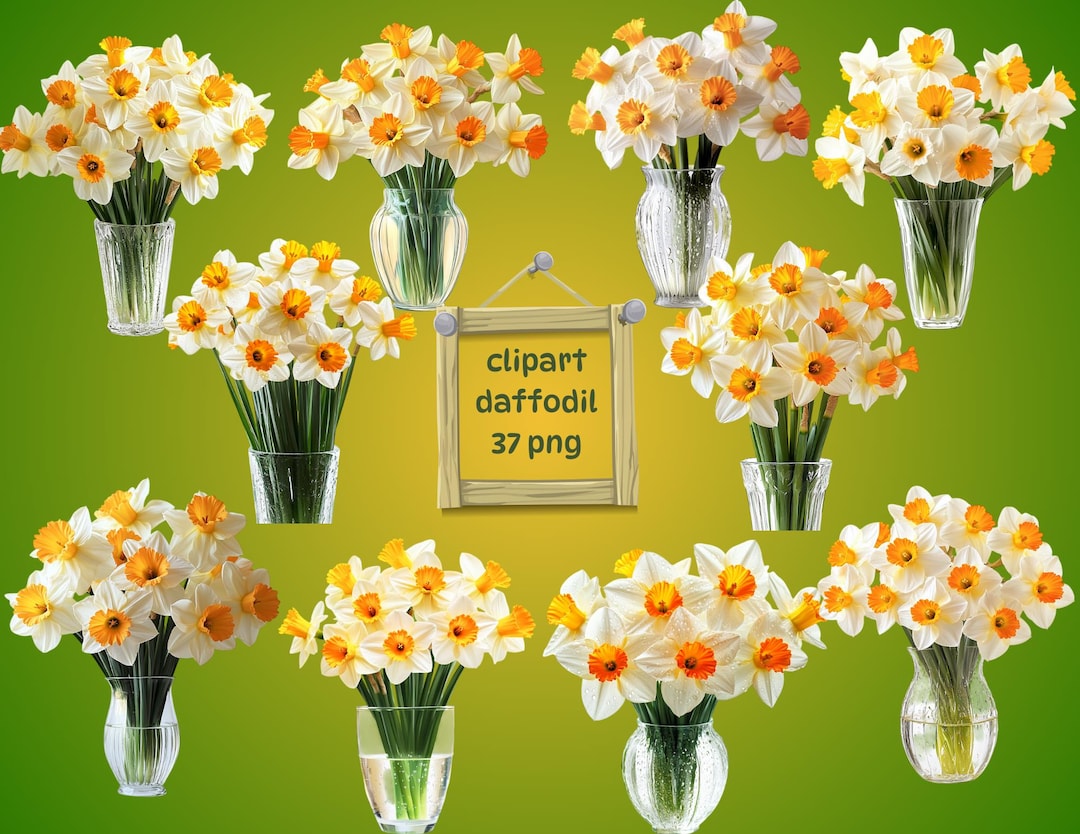 Daffodil Bouquet Clipart: Spring Flower PNG Bundle (commercial Use) - Etsy