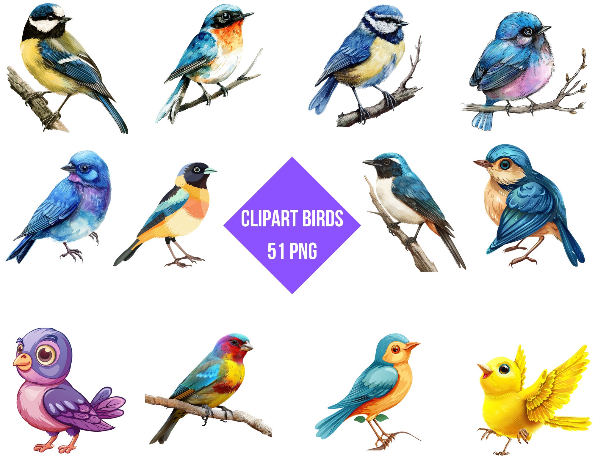 Clipart Birds Set | 51 PNG | Pretty Birds PNG | Digital Print Colorful ...