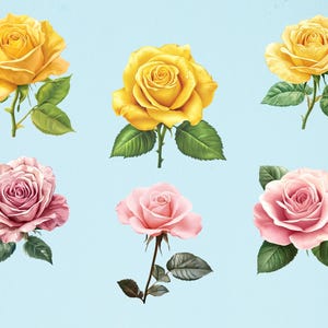 Roses Clipart Bundle, Colorful Roses PNG, Digital Flowers for Crafts ...