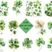 Clipart Four-leaf Clover | Watercolor Four-leaf Clover PNG ...