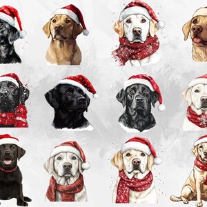 Labrador Christmas Clipart | 39 PNG | Digital Print With Christmas Dogs ...