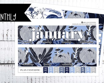 Mini Happy Planner January Monthly Kit Mini Happy Planner - Etsy