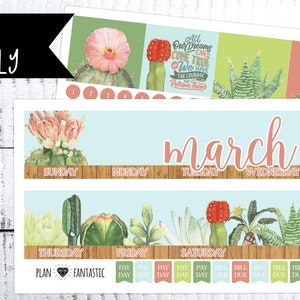 March Succulents Monthly Planner Sticker Kit - Spring Cactus - for Use ...