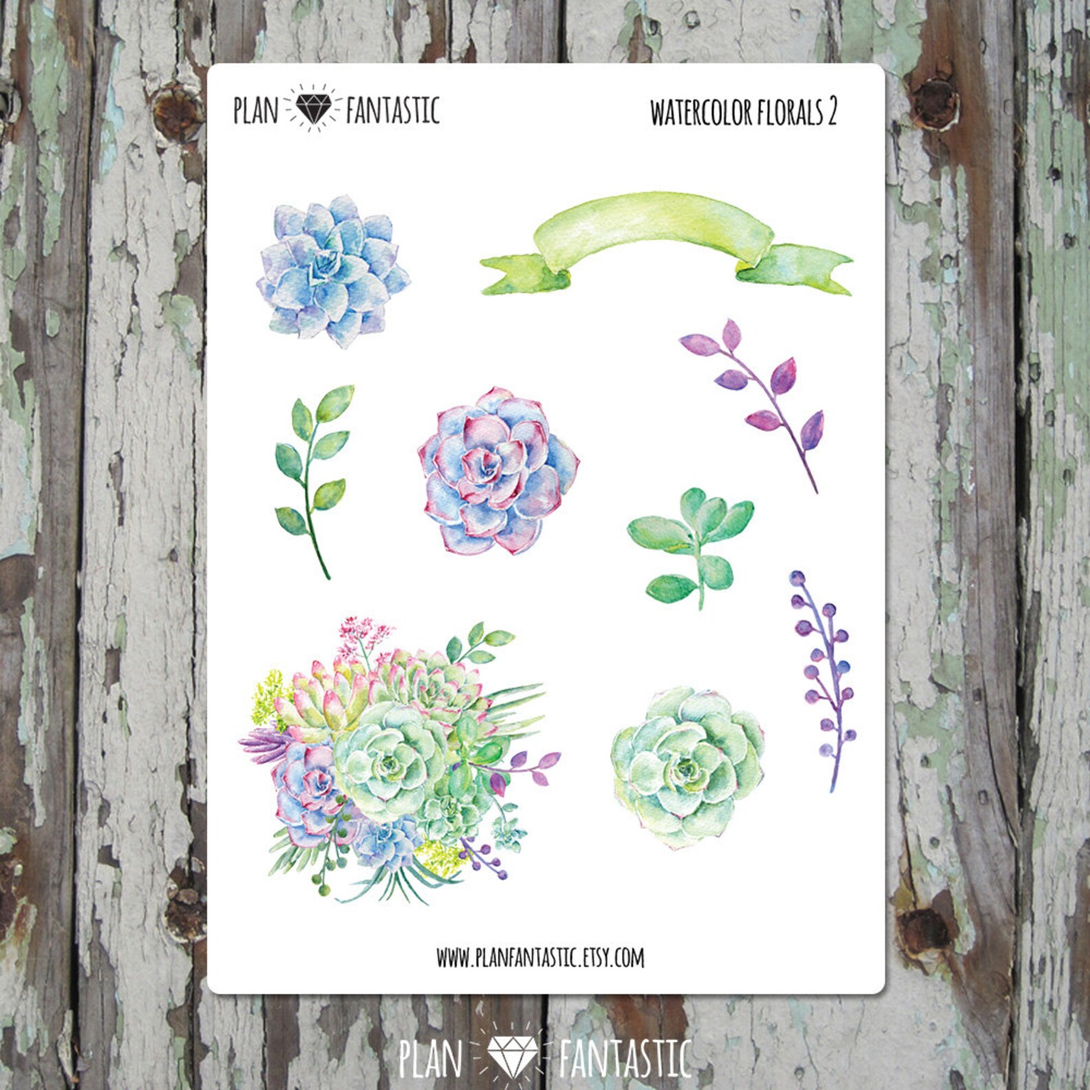 Watercolor Succulent Cactus Planner Stickers Deco Bullet | Etsy