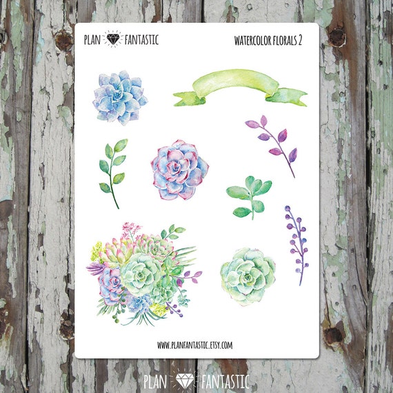 Watercolor Succulent Cactus Planner Stickers Deco Bullet | Etsy