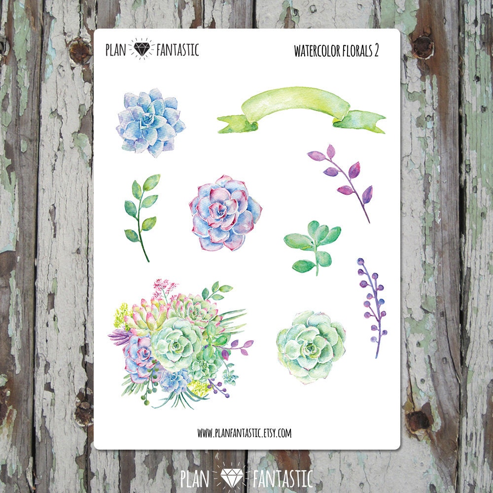 Watercolor Succulent Cactus Planner Stickers deco Bullet | Etsy