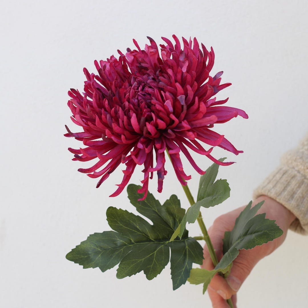 Faux Flower Stem | Artificial Silk Fuji Mum Stem Magenta 74 Cm | Head ...
