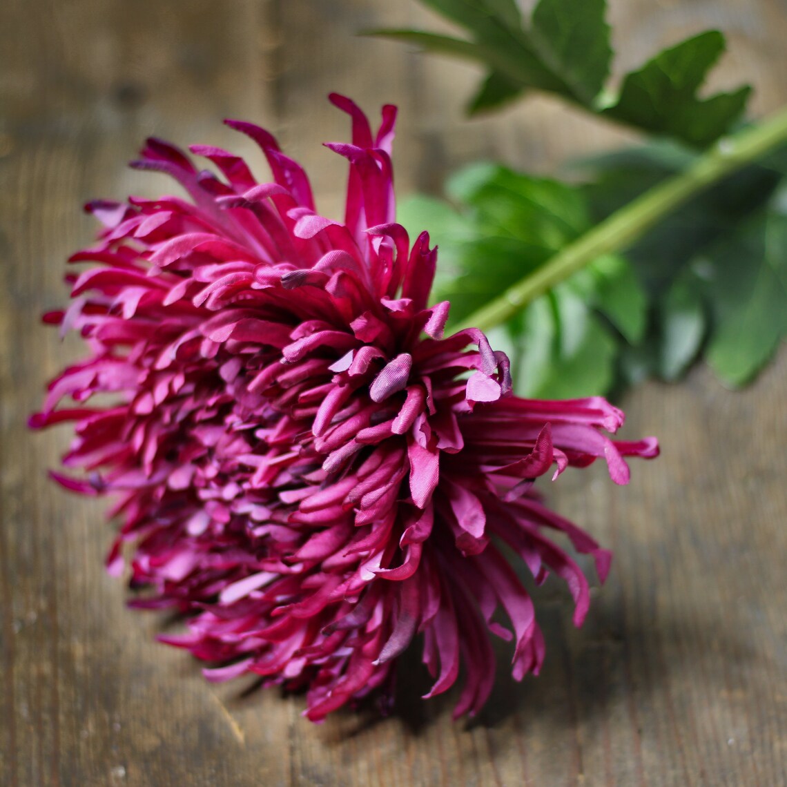 Faux Flower Stem Artificial Silk Fuji Mum Stem Magenta 74 Cm - Etsy UK