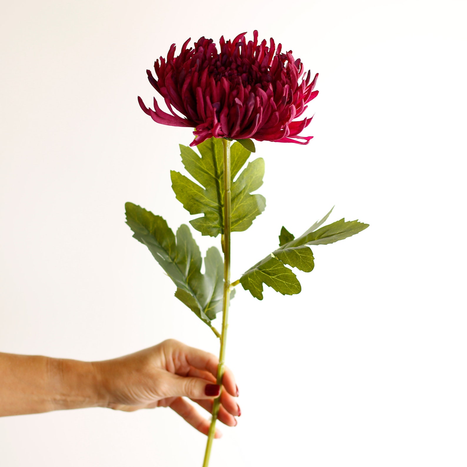 Faux Flower Stem Artificial Silk Fuji Mum Stem Magenta 74 Cm - Etsy UK