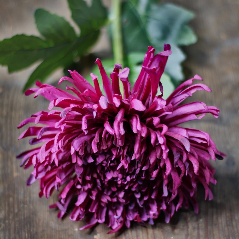 Faux Flower Stem Artificial Silk Fuji Mum Stem Magenta 74 Cm - Etsy UK