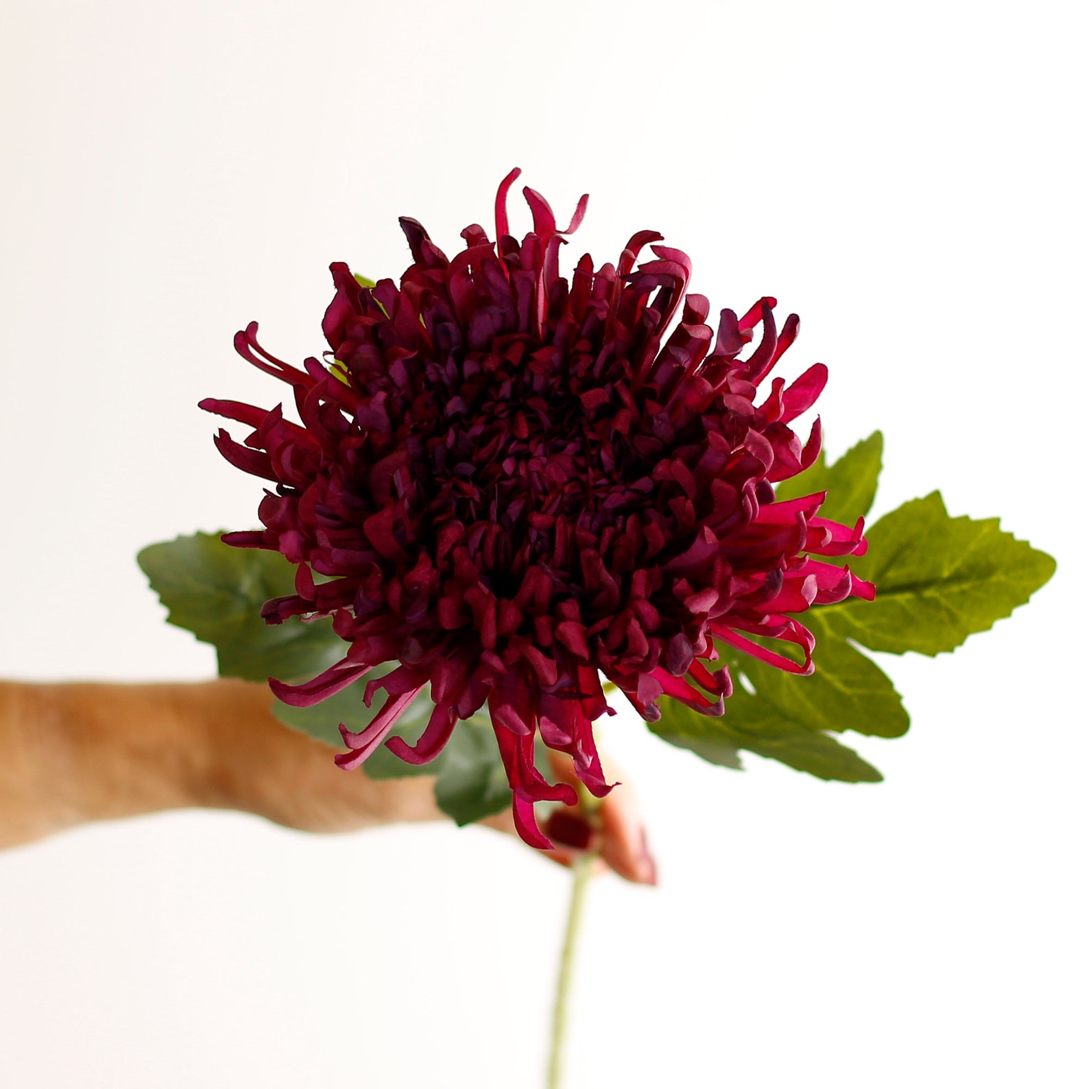 Faux Flower Stem Artificial Silk Fuji Mum Stem Magenta 74 Cm - Etsy UK